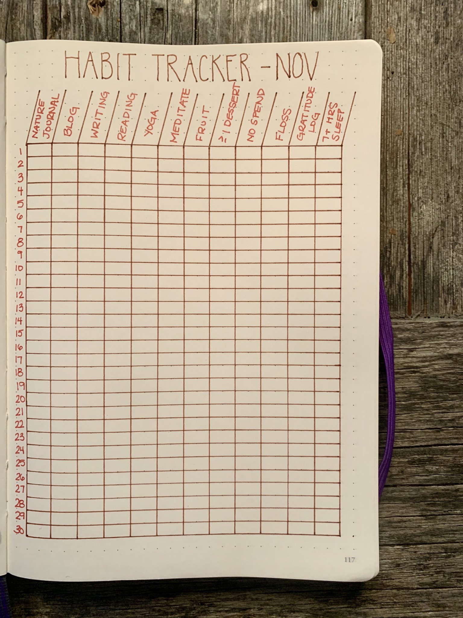 5 Tips to Make Nature Journaling a New Habit - Traveling Nature Journal