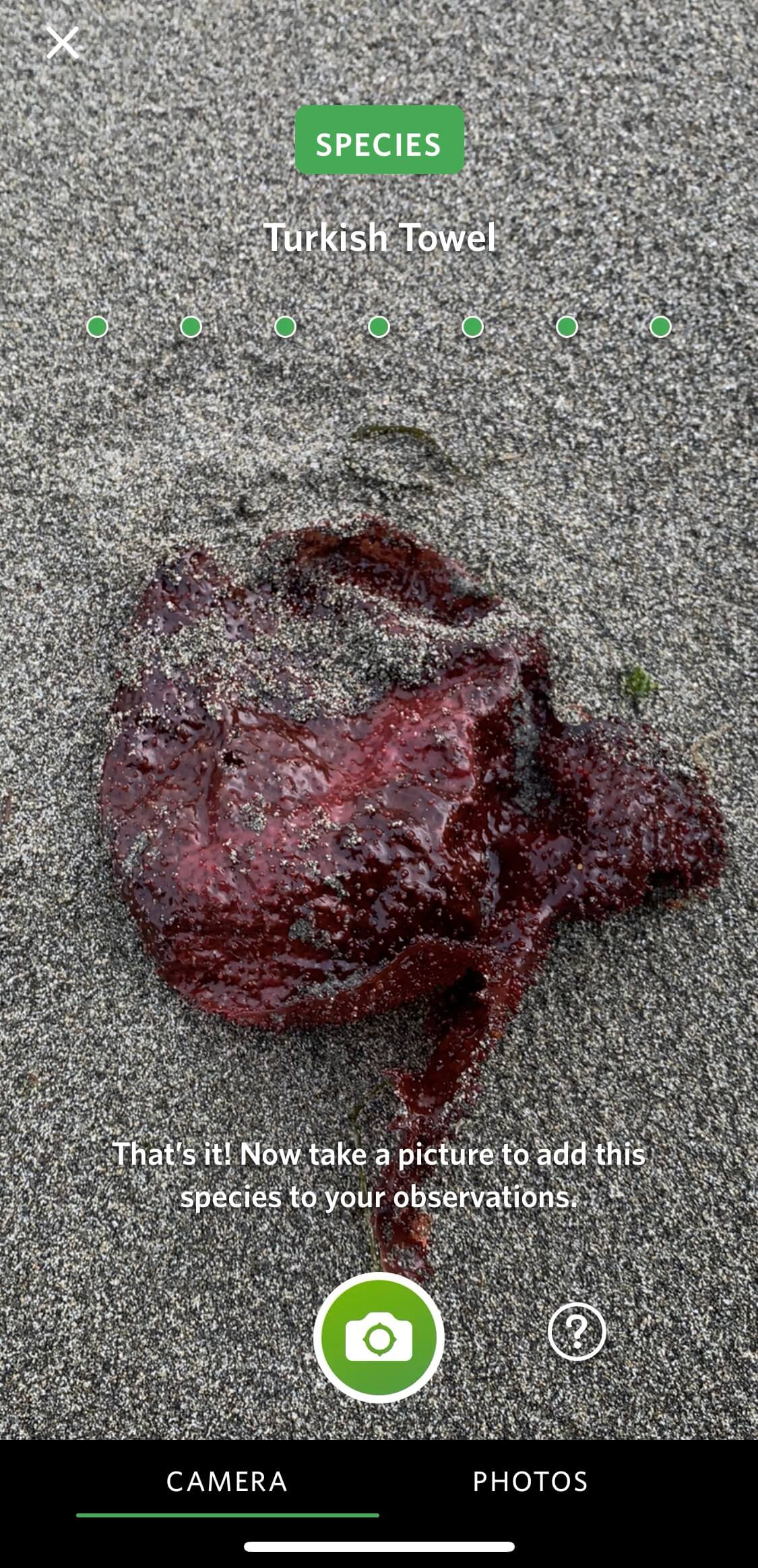 How to Use the Seek App for Nature Journaling - Traveling Nature Journal