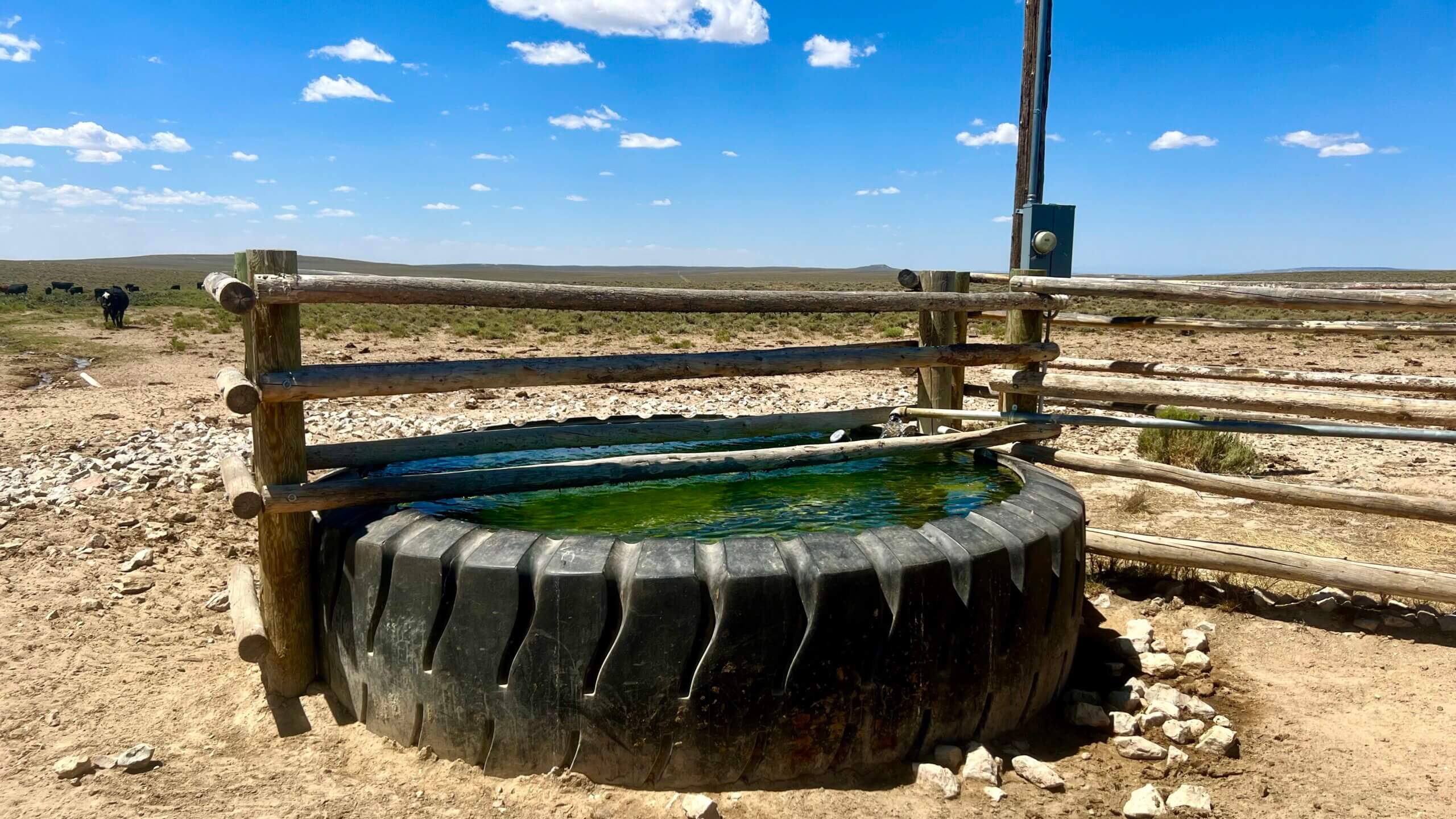Continental Divide Basin in Wyoming: Why It's Awesome (Even in The Heat)