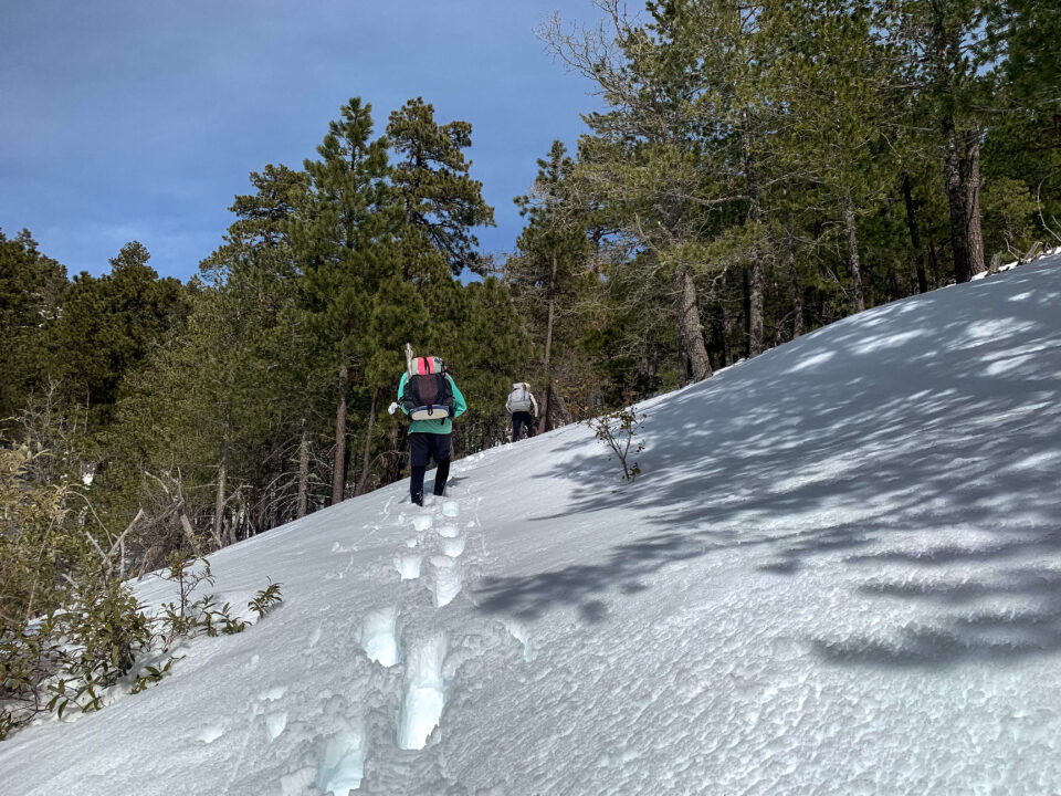 Arizona Trail Thru-Hike: The Complete Guide (With Gear List)