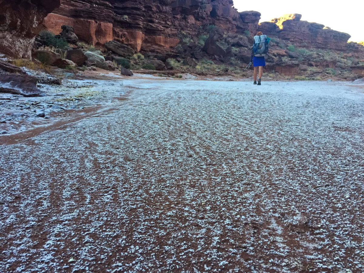 Hayduke Trail: What You Need To Know - Traveling Nature Journal