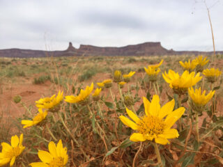 Hayduke Trail: What You Need To Know - Traveling Nature Journal
