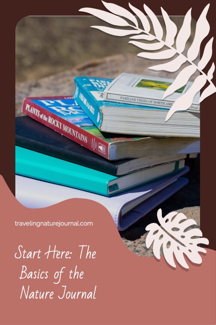 Start Here: The Basics of the Nature Journal - Traveling Nature Journal