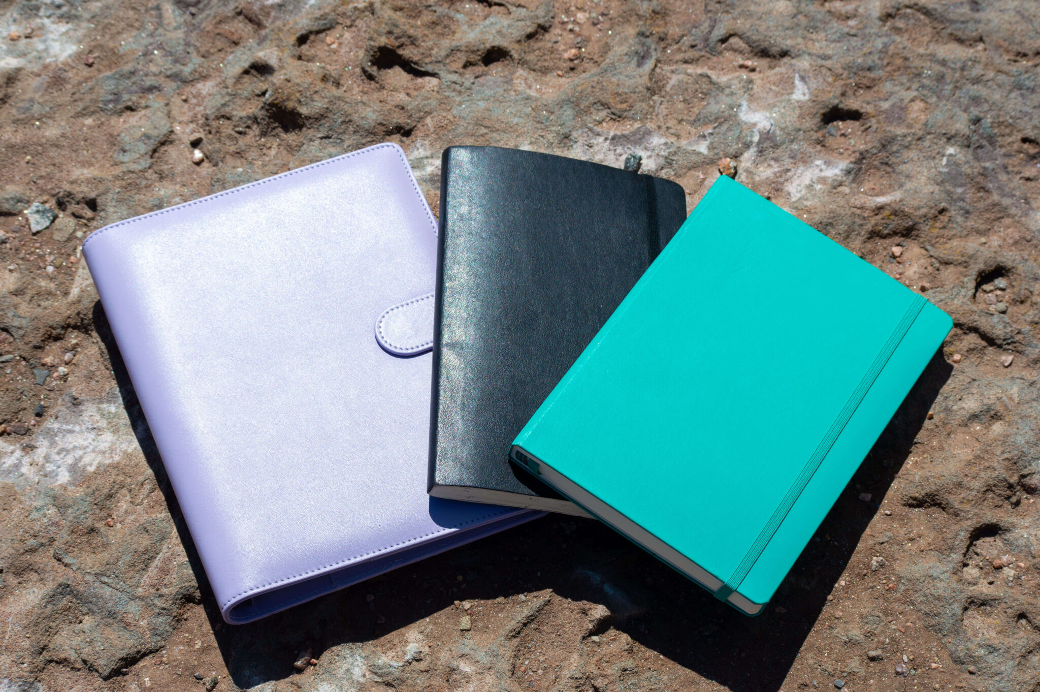 Start Here: The Basics of the Nature Journal - Traveling Nature Journal