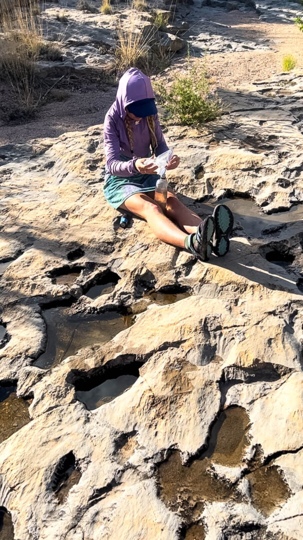 The Bottom Line about Water in the Desert (GET) - Traveling Nature Journal