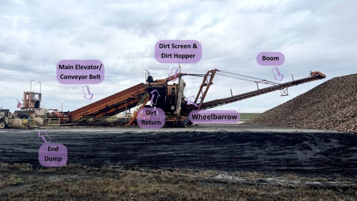 Sugar Beet Harvest: Ultimate Guide to Making Money on the Road