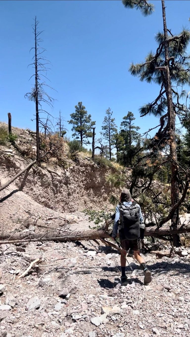 5 Easy Steps to Build Your Off-Trail Navigation Skills