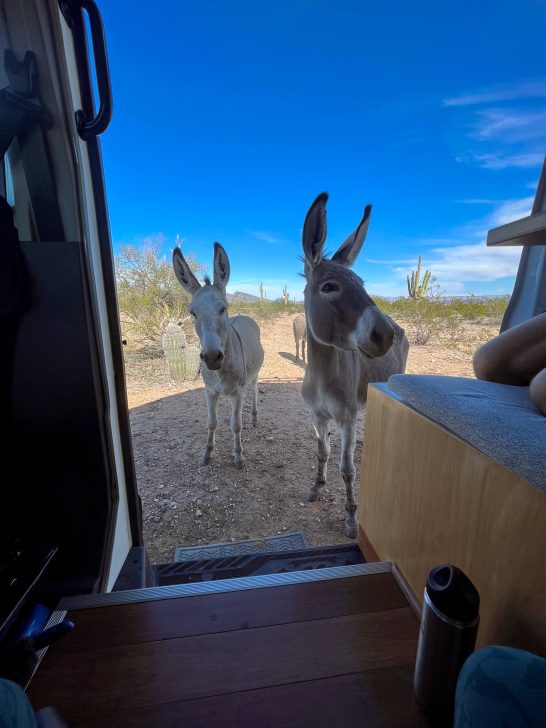 6 Van Life Locations Perfect in the Winter