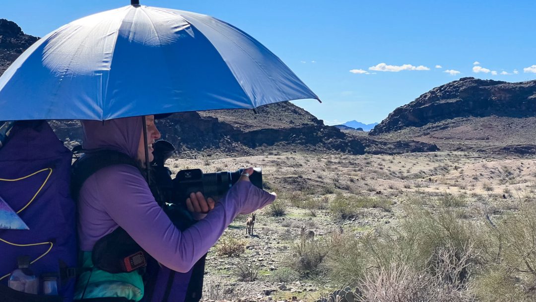 Backpacking Umbrella: Everything You Need to Know