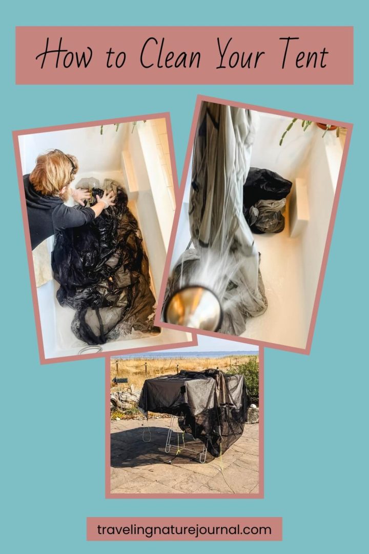 How to Clean a Tent after Camping All Summer
