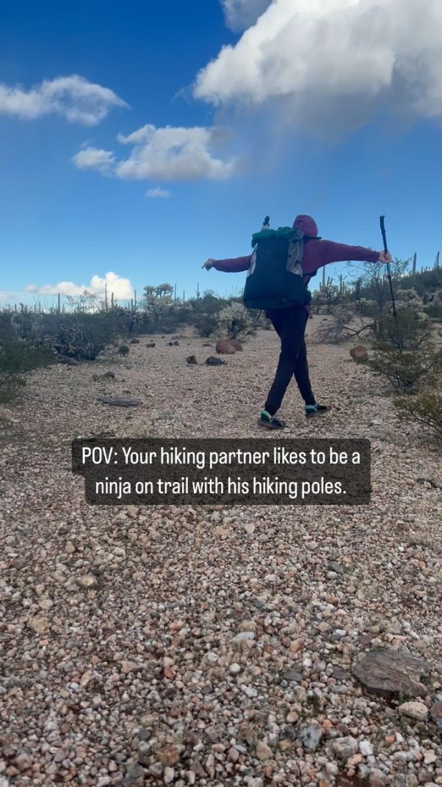 Mammals - Traveling Nature Journal